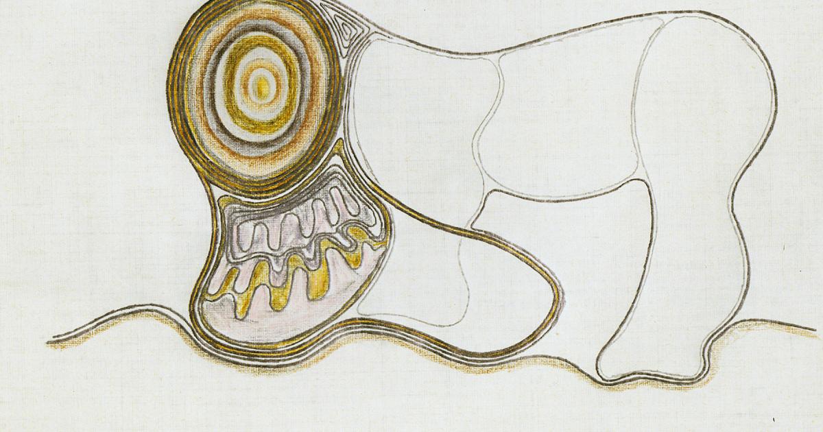 Fokus. | Zentrum Paul Klee